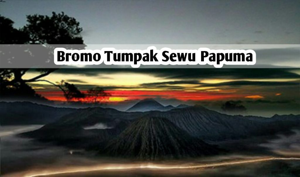 Paket Wisata Bromo Tumpak Sewu Papuma I Wisata Gunung Bromo